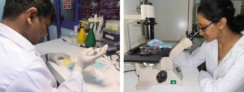 About Research – Faculty of Medical Sciences