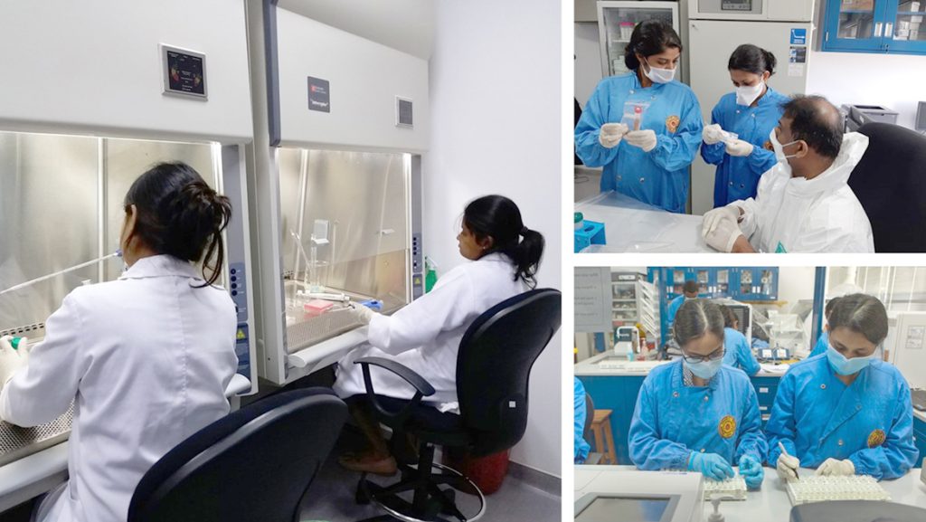 Immunology and Molecular Medicine – Overview – Faculty of Medical Sciences