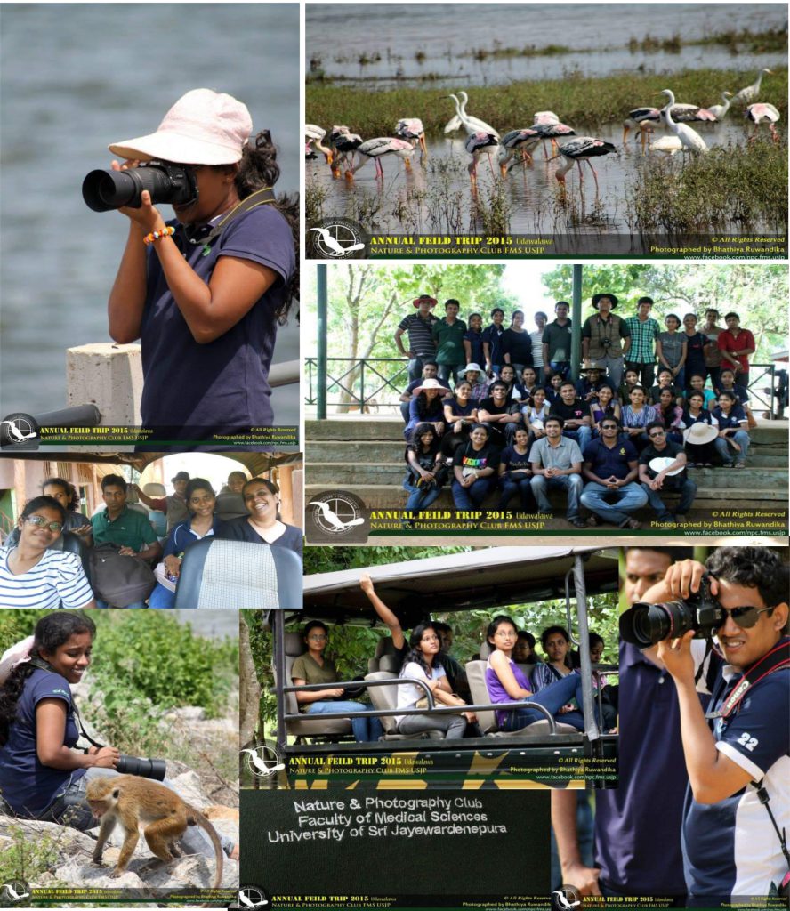 Nature and Photography Club – Faculty of Medical Sciences