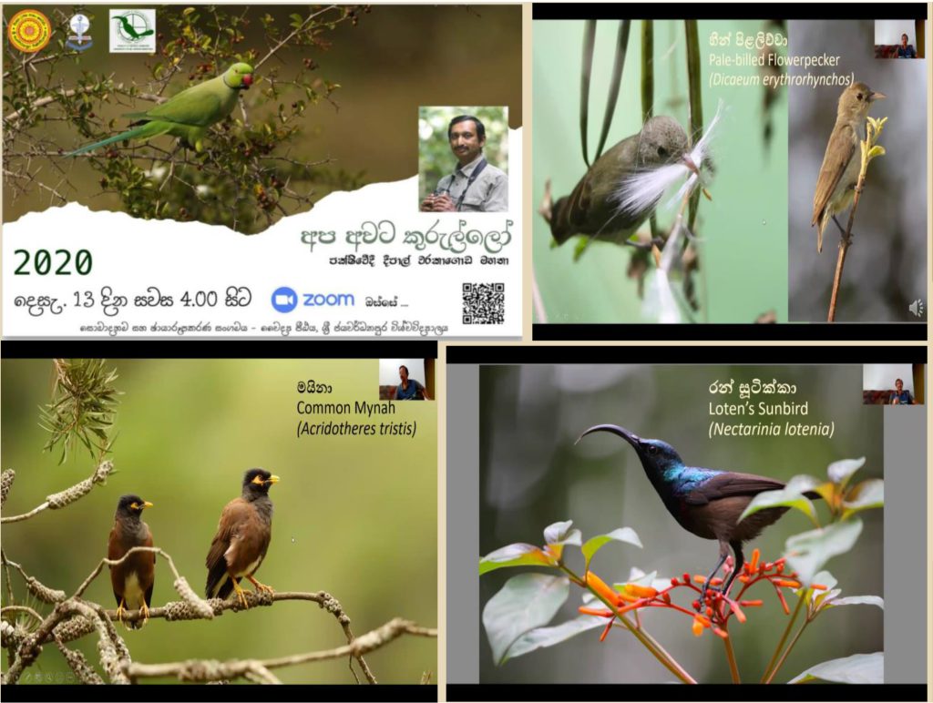 Nature and Photography Club – Faculty of Medical Sciences